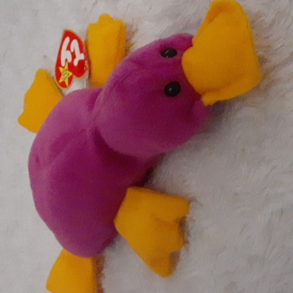 Ty | Toys | Patti The Platypus Beanie Baby | Poshmark